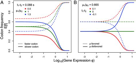 Effect Of Varying Relative Mutation Rate μ I μ J Elongation Time