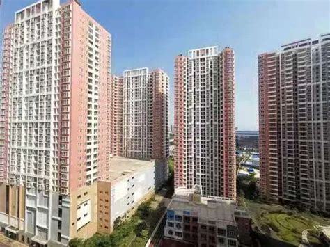 遂宁出台市本级人才公寓管理办法 快来看如何申请新浪四川新浪网