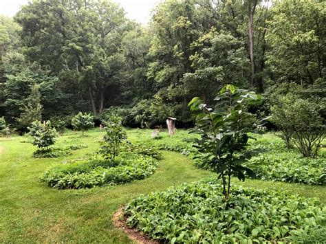 Forest Garden Plant List