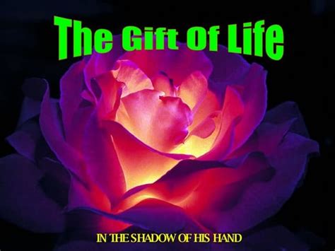The T Of Life Pps Spirituality Religion And Spirituality