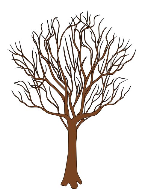 Ствол дерева клипарт 55 фото