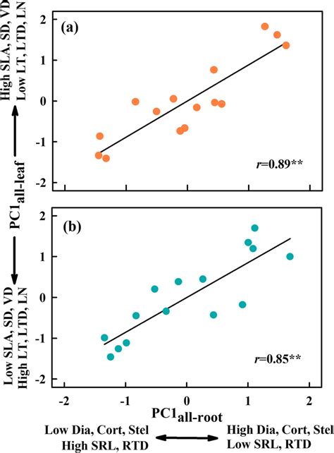 Relationships Between The First Axis Of Pca For All Leaf Traits