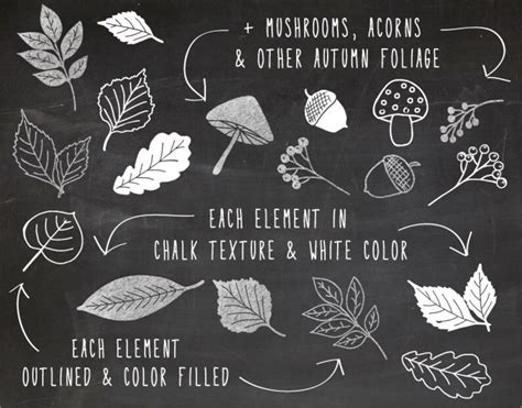 Fall Leaf Clipart Chalk Chalkboard Leaves Autumn Foliage Acorn