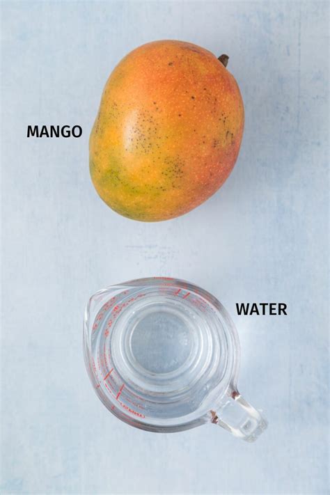 Mango Juice Recipe Using Blender Using Blender Clean Eating Kitchen