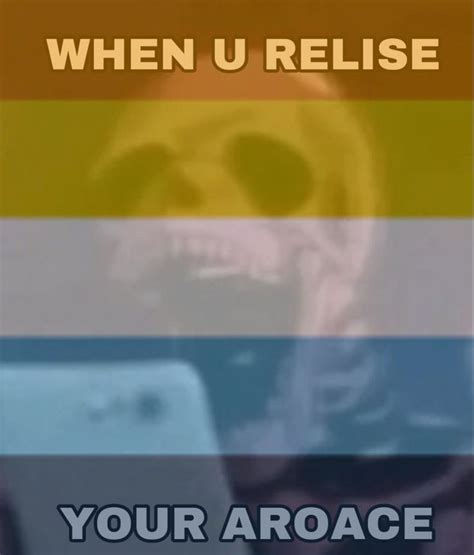 Aroace Memes Funny Memes Asexual Humor Relatable Ace Flag Pfp