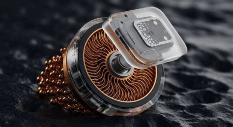 Protocol Dao ∞ Term