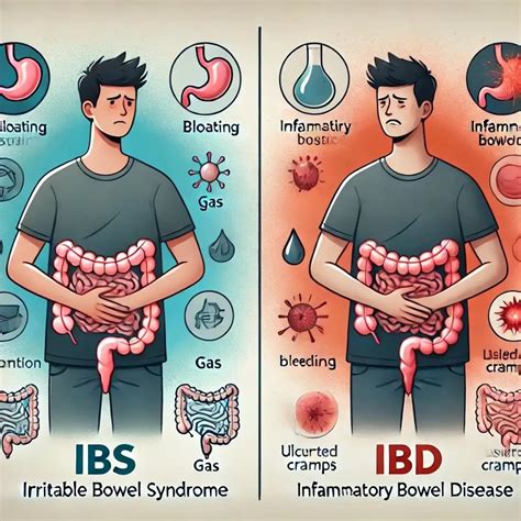 Understanding The Differences IBS Vs IBD Naturopath Brisbane Health Optimisation Expert