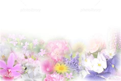 カラフルな花のフレーム下段 イラスト素材 6566400 フォトライブラリー Photolibrary
