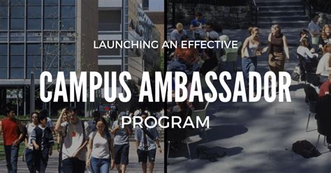 Launching An Effective Campus Ambassador Program Infogrpahic