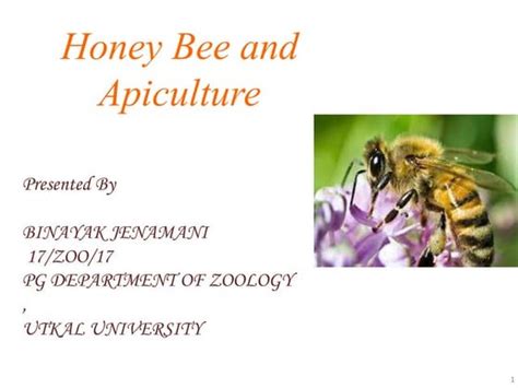 Modern Method Of Apiculture Apiculture Beekeeping Pdf