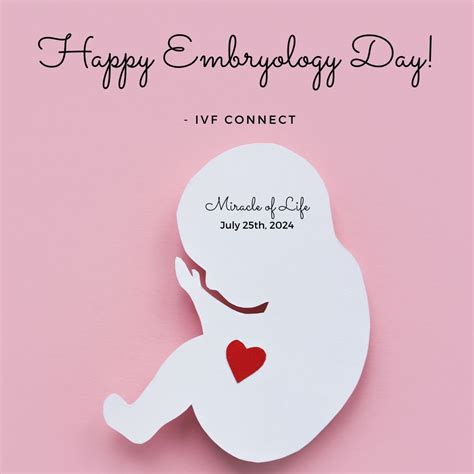 Ivf Connect Embryology Staffing Is Proud To Honor The Miracle Workers