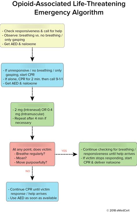 Opioid Algorithm Diagram Quizlet