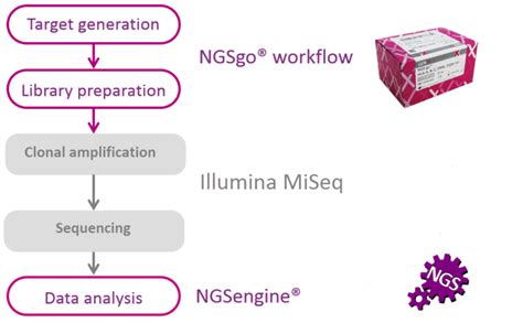 NGSgo HLA Typing Workflow On Illumina Platform Shiva Scientific Company