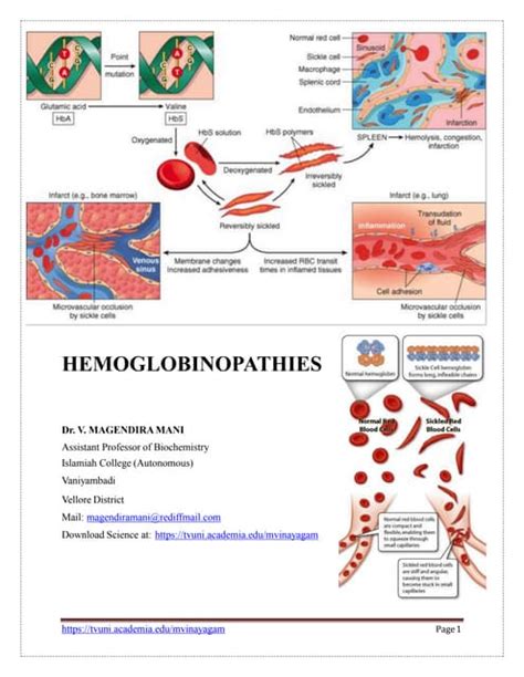 Hemoglobinopathies Ppt