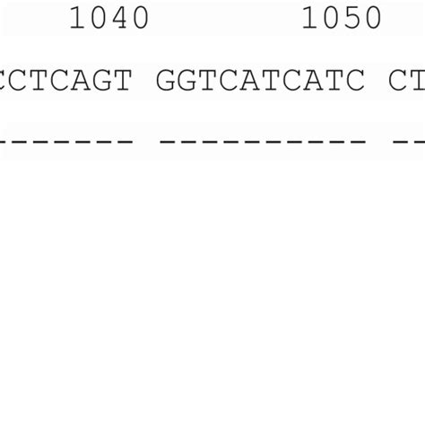 alignment of the exon 7 sequence of the novel allele kir3dl1 01507 with