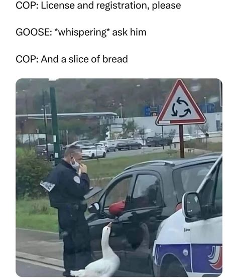 Bro Wants His Bread Scrolller