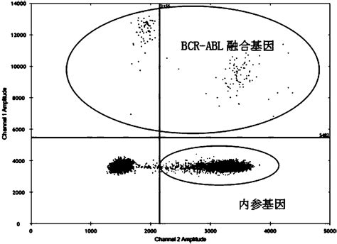 Primers For Detecting Bcr Abl Fusion Genes By Ddpcr Technology And