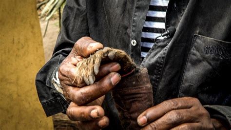 Letter From Africa How Talk Of Witches Stirs Emotions In Nigeria Bbc