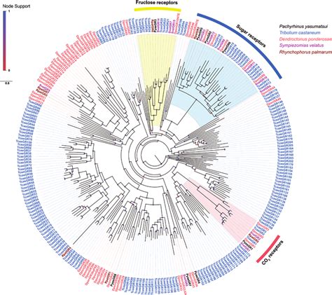 Phylogenetic Tree Of 269 Grs These Sequences Were Obtained From 5