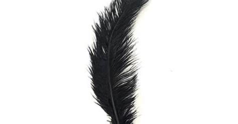 Pluma Sensorial De PavÃo Compre No Atacado Na Atual Sex