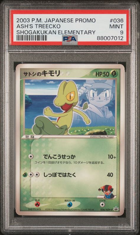 Speed Sketch Ashs Treecko Lp Ashs Treecko 036 Adv P 2003 Shogakukan