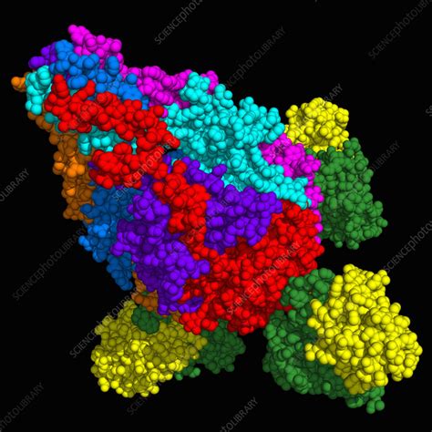Lassa Virus Spike Complex Illustration Stock Image C0625582