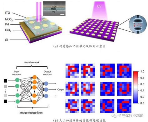 基于忆阻器的感存算一体技术研究进展财经头条新浪财经