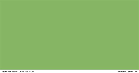 86b563 Hex Color Code