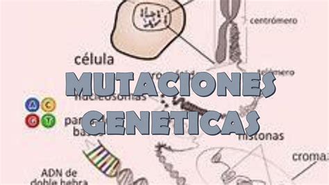 Mutaciones Genéticas Anna Solares Udocz