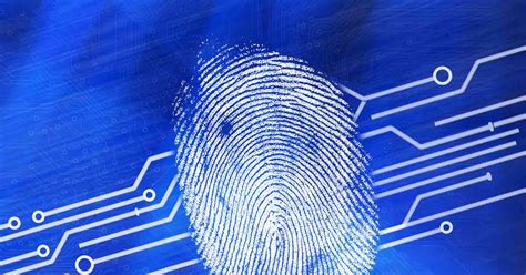3 Types Of Fingerprints Explained Calamity