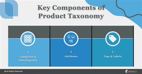 What Is Product Taxonomy For Ecommerce Businesses