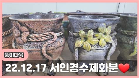 221217 서인경수제화분 서인경분서인경화분다육이화분다육화분서인경수제화분분갈이화분도소매문의 주문전화 010