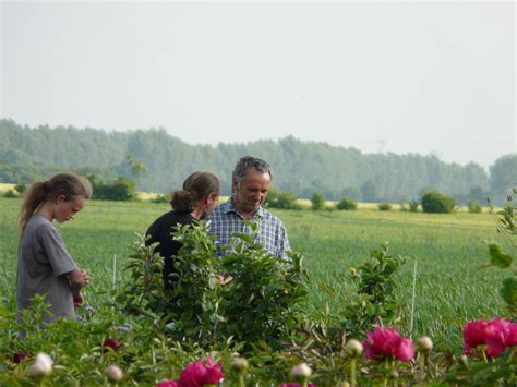 Kontakt Gießler Päonien Kulturen