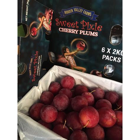 Jual Cherry Plums Sweet Pixie 2biji Berat 90 Gram Shopee Indonesia
