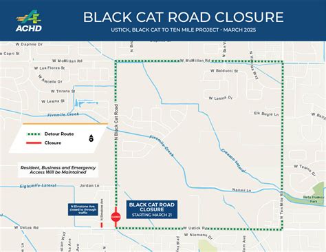 Achd Ustickten Mileblack Cat Construction Update