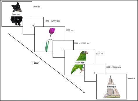 In The Picture Word Interference Pwi Task Participants Were