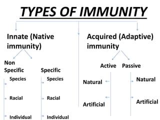 Body Defenses And Immunity Pptx
