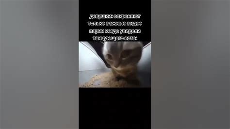 кисики Youtube