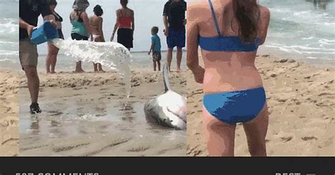 People Actually Paid Attention To The Shark Imgur