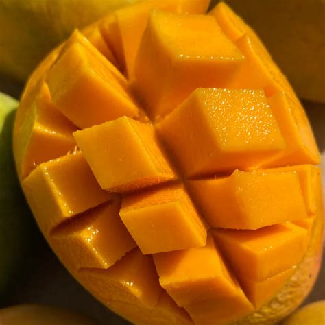 Alphonsa Mango Live Plants Veliyathgardens