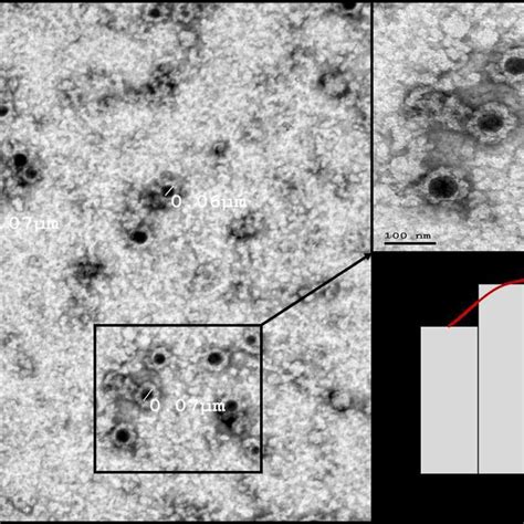 Hrtem Image And Particle Diameter Nm Distribution Histogram Of The Download Scientific