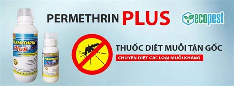Permethrin Plus Thuốc Diệt Muỗi An Toàn Hiệu Quả Của Anh Quốc