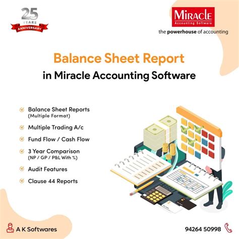 Complete Balance Sheet Report In Miracle Accounting Software