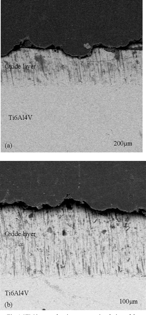 Figure 2 From Investigation Of Titanium Oxide Layer In Thermal