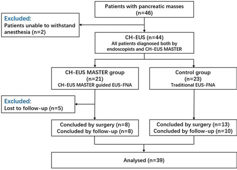 Flowchart Of The Clinical Trial Download Scientific Diagram