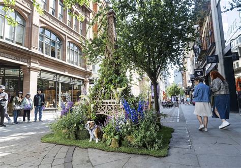 Manchester Flower Festival 2026 Is Turning The City Green This Bank