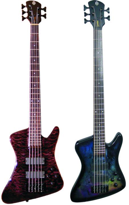 Net Impact Spector Professional Series Rex Brown Signature 5 String Bass