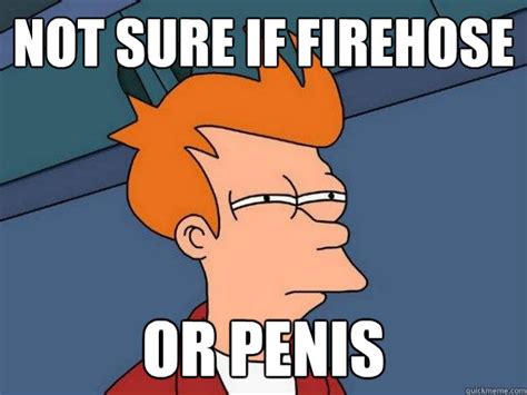 Not Sure If Firehose Or Penis Futurama Fry Quickmeme
