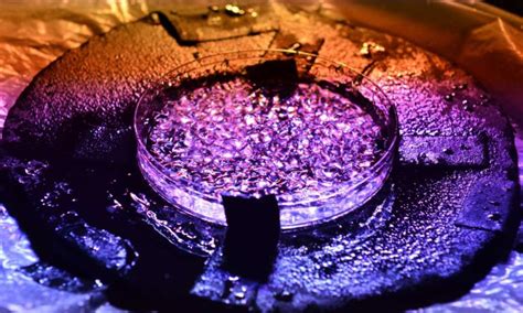 Martin Fleischmann And Stanley Pons In Their Own Words Cold Fusion Now