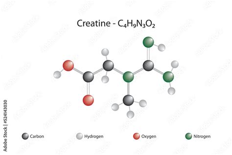 Molecular Formula And Chemical Structure Of Creatine Stock Vector